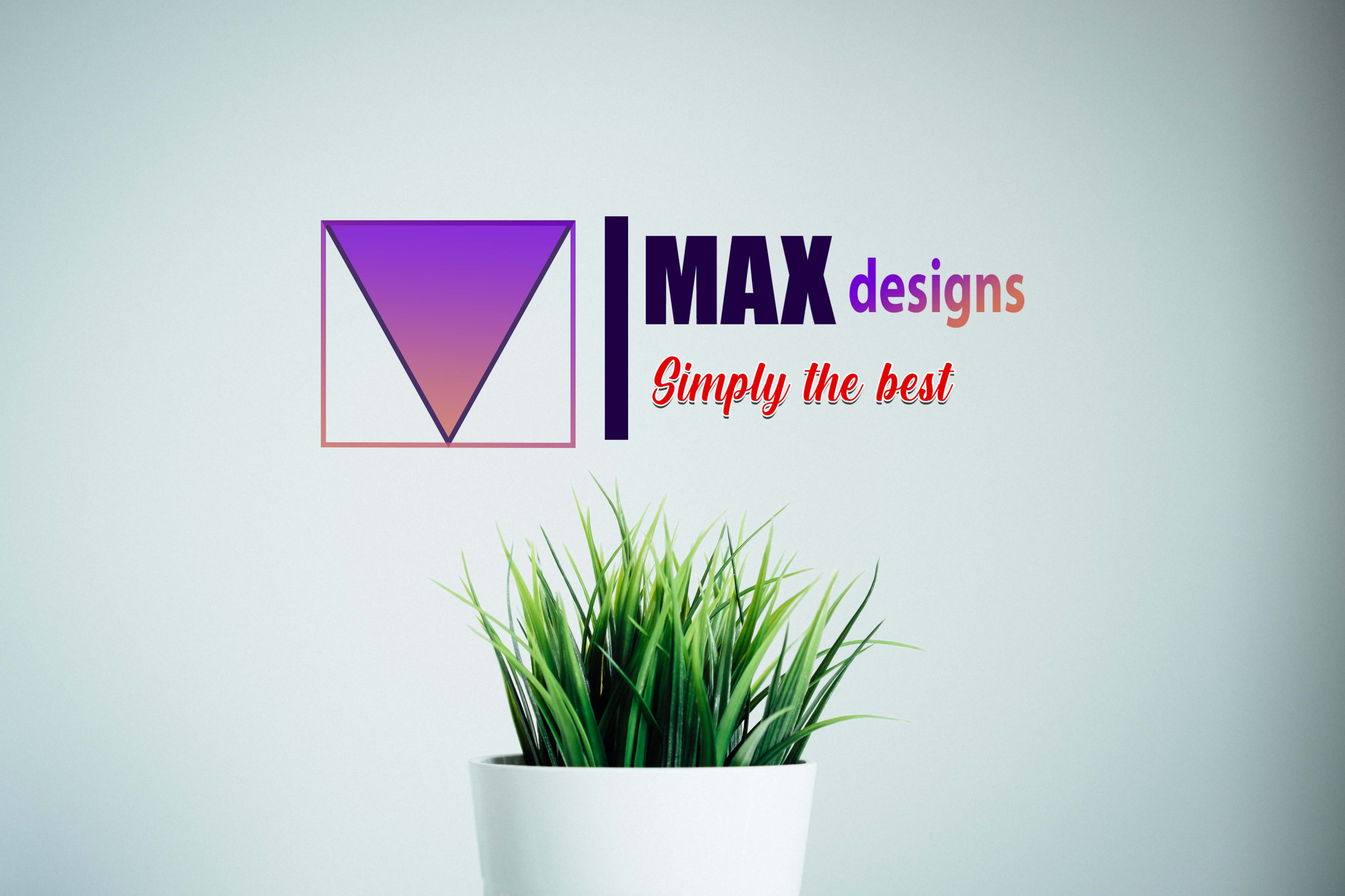 Max designs